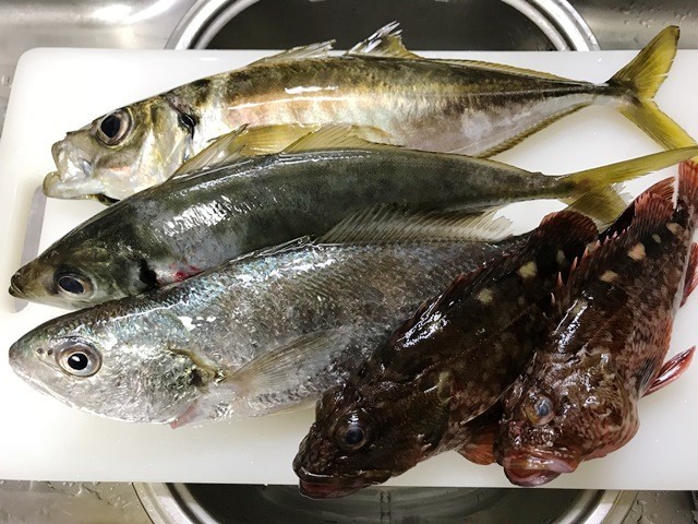 船長アドバイス_2017-22 - LUANA（すーログVer.3）