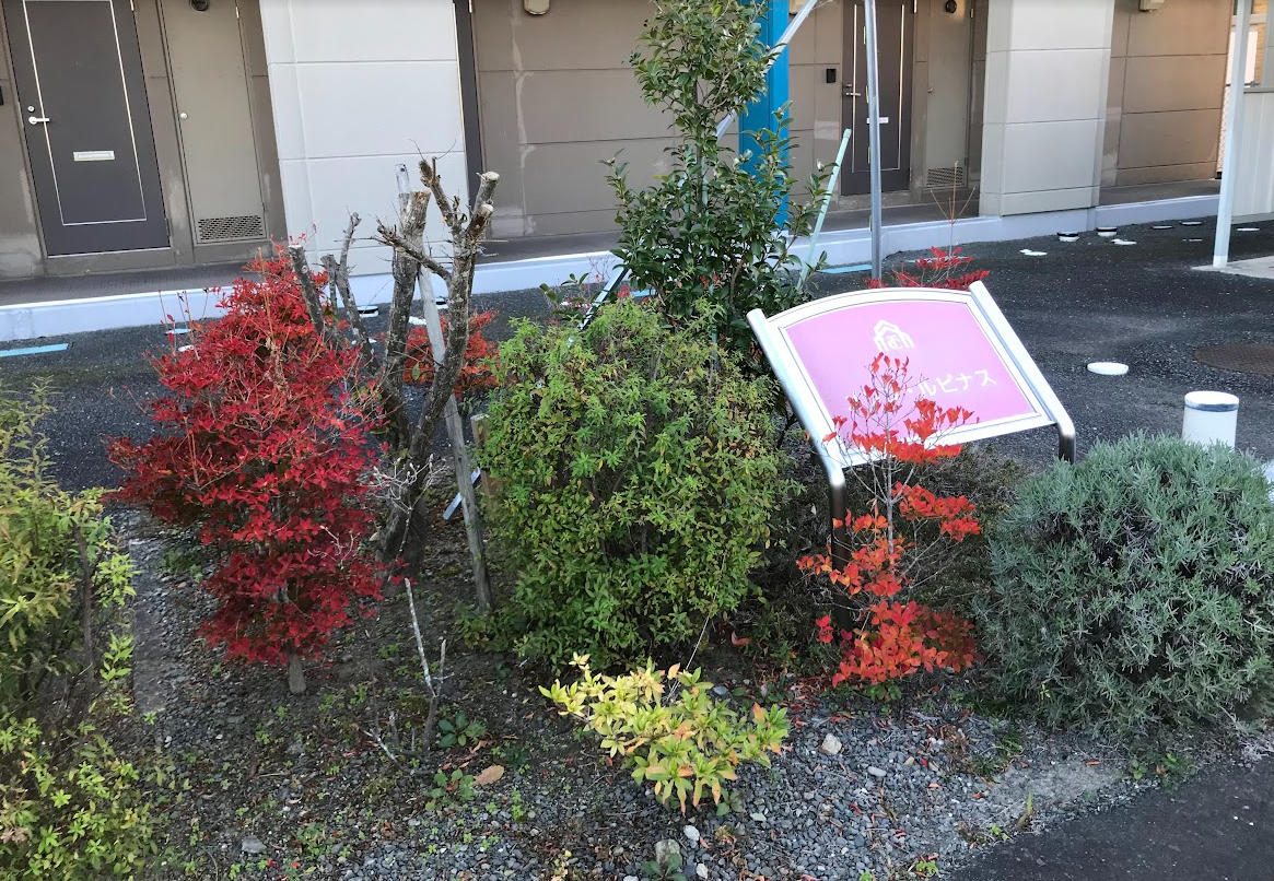 「りくりゅう」がペアフリー世界歴代最高更新でSP5位から大逆転の金メダル、日本初 - lupinus8115tanのブログ