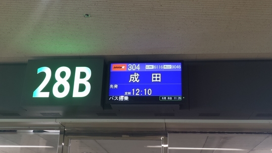 JAL FOP2倍で那覇3往復 搭乗記 - JGP＆SFC夫婦のお気楽旅にっき