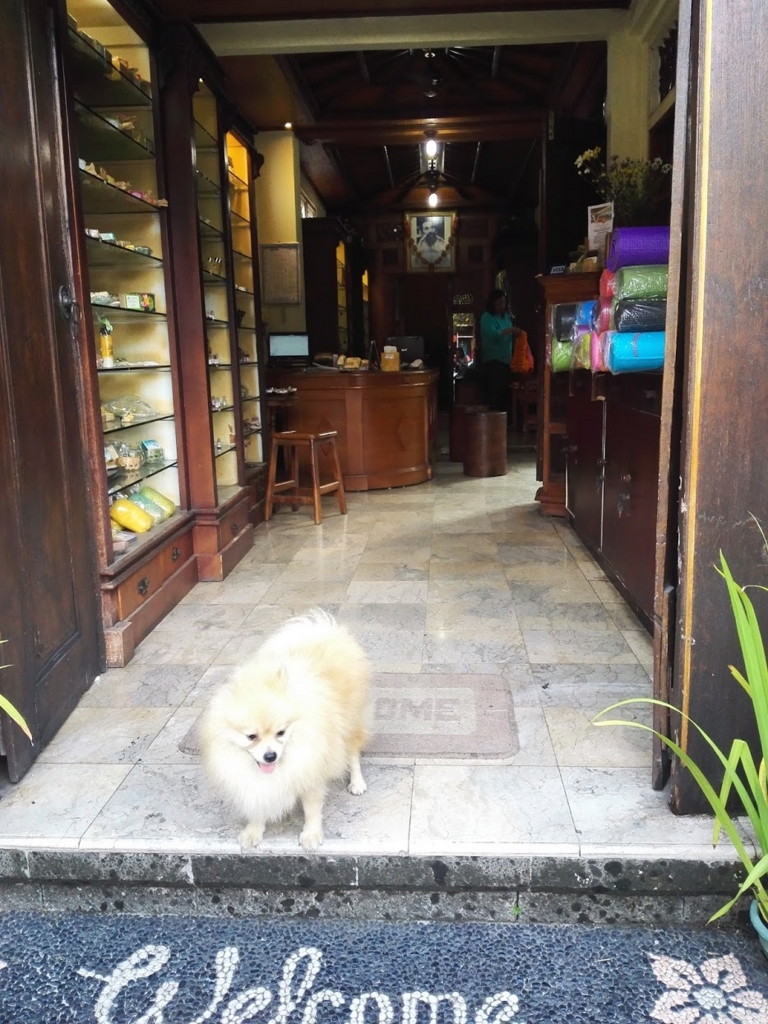 バリに行ったら必ず訪れたい！ゴッドハンドマッサージ「Ubub Dody Works Centere ウブドボディーワークスセンター」体験 ...