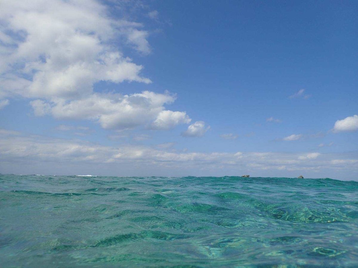 約1年間Webアプリエンジニアとプランナー（プロダクトマネージャー）を兼務してみて - OpenWork Tech Blog