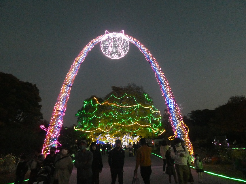 138タワーパーク 138ウィンターイルミ - まみむめ めも