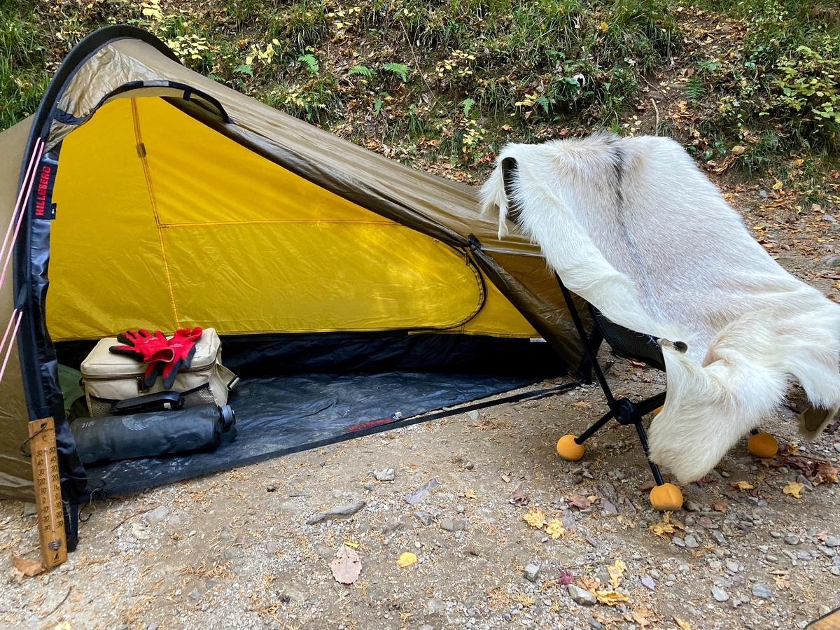 大鳩園で迎える今冬シーズンの始まり - 天幕日記
