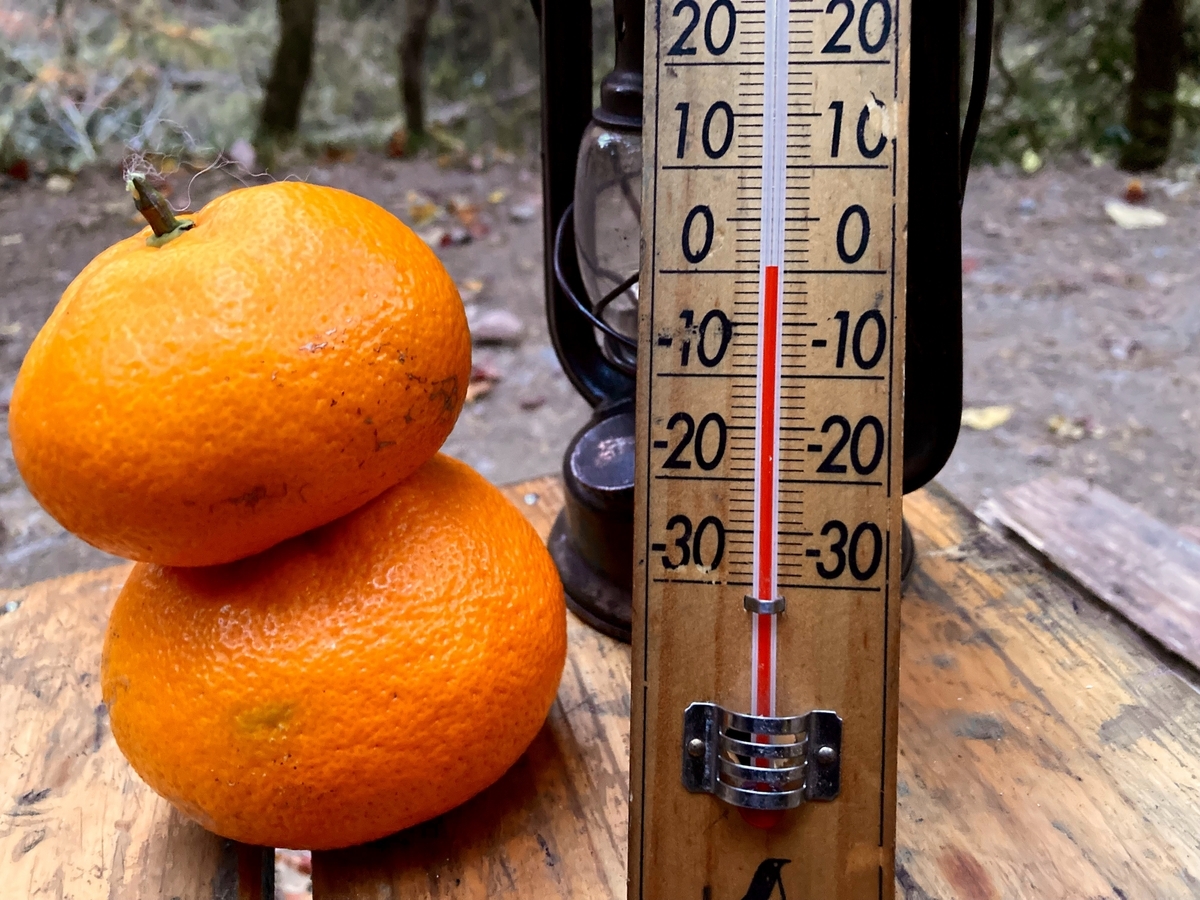 大鳩園で迎える今冬シーズンの始まり - 天幕日記