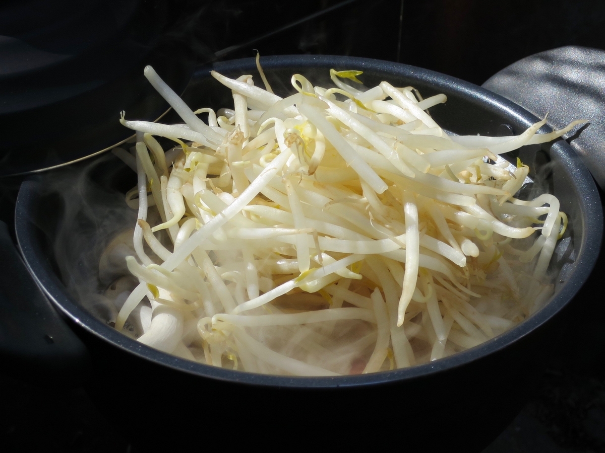 キャンプ飯とダイソー土鍋風アルミ鍋の運用と考察 - 天幕日記