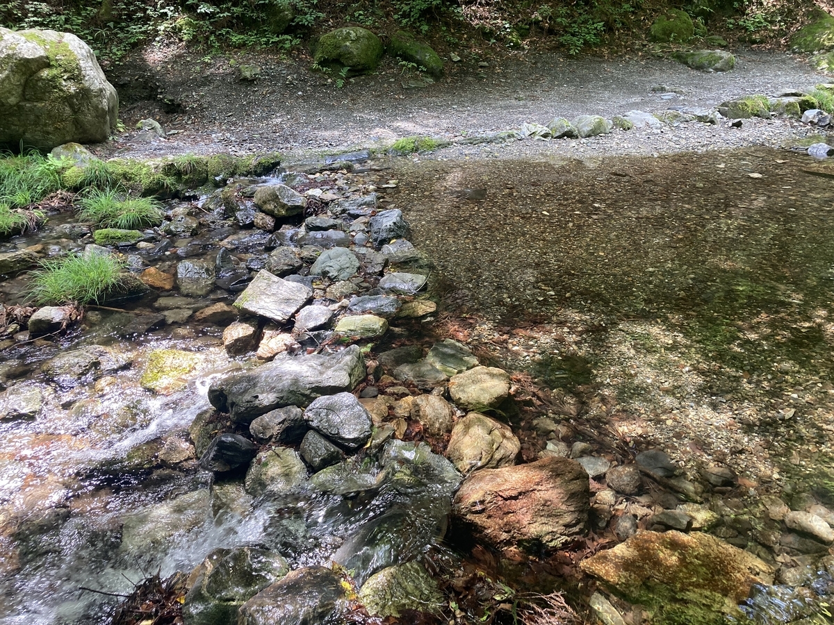 清流沿いで感じる初夏の空気 - 天幕日記
