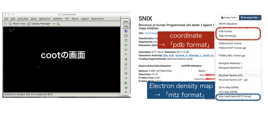 cootで電子密度を眺める - magattacaのブログ