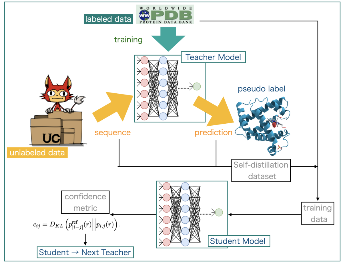Self Distillationって何？AlphaFold2では何をしているの？ - magattacaのブログ