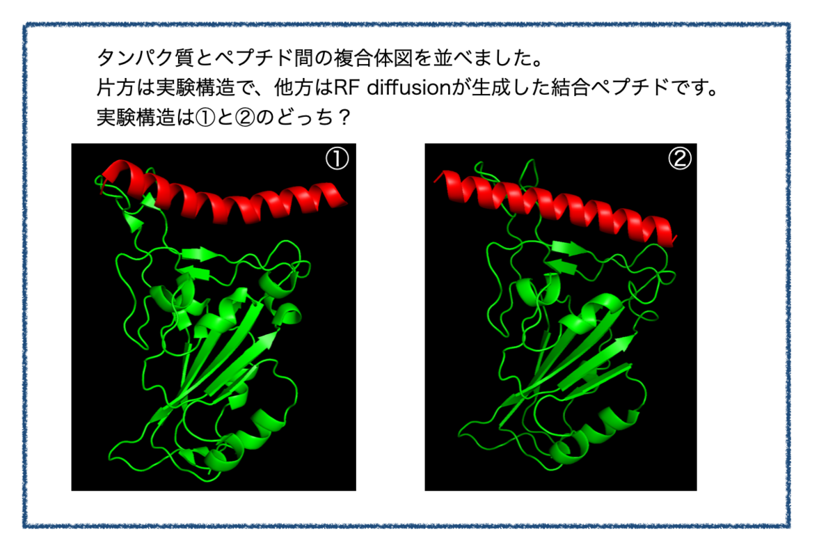 クイズ：どっちが自然の構造？ 〜RF diffusionで人工ペプチドを生成〜 - magattacaのブログ