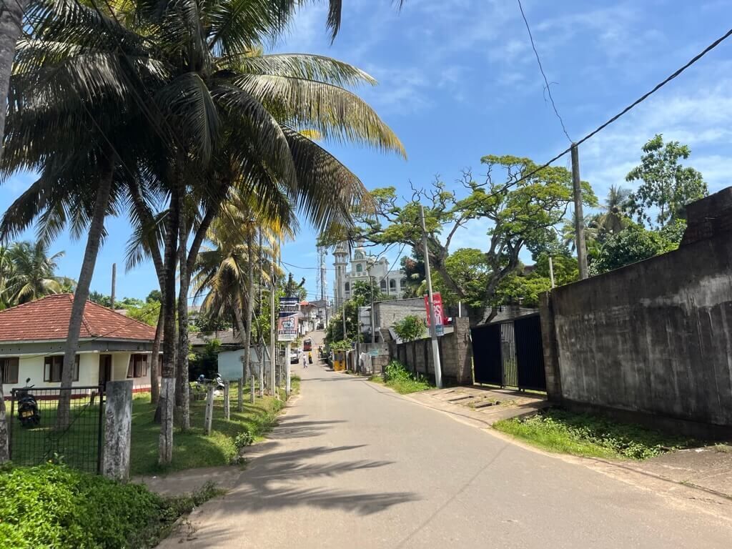 Kidu Rice（キドゥライス）。スリランカンムスリムコミュニティの伝統料理【Sri Lanka】 - スリ飯屋MaLankaのフリー ...