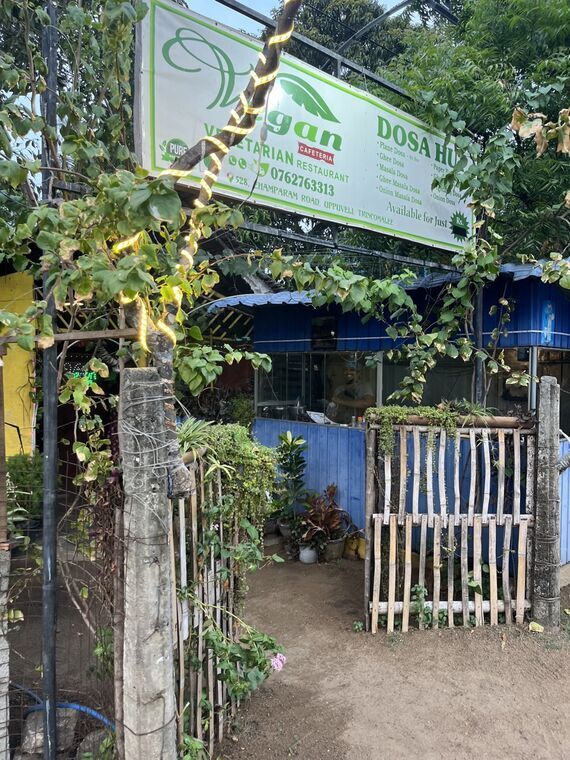トリンコマリーの純ベジ食堂Vegan Cafeteriaでドーサを食べた - スリ飯屋MaLankaのフリーエンジニアな日々