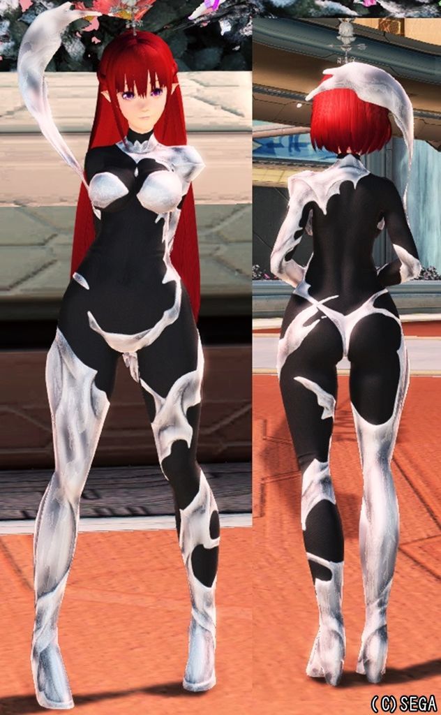 【PSO2】ACスクラッチ『ウィナーズデザイン5 sideB』で手に入ったアイテムまとめ - まかぽっぽ。