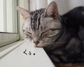 20170416103648