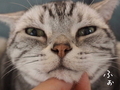 20170417122225
