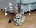 20171027092554