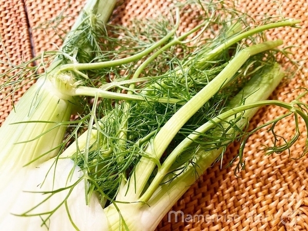 フェンネル（Fennel）の特徴と食べ方 | アメリカで野菜を美味しく【写真付き】 - Mamemiso diary