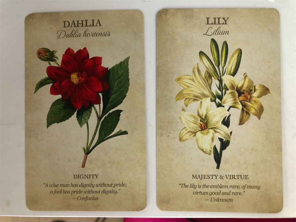 Oracle Card LILY&DALIA - mamezankoの日記