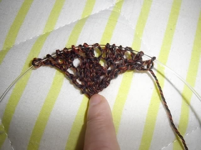 Swallowtail Lace Shawlを編む！その1 - これからの時間