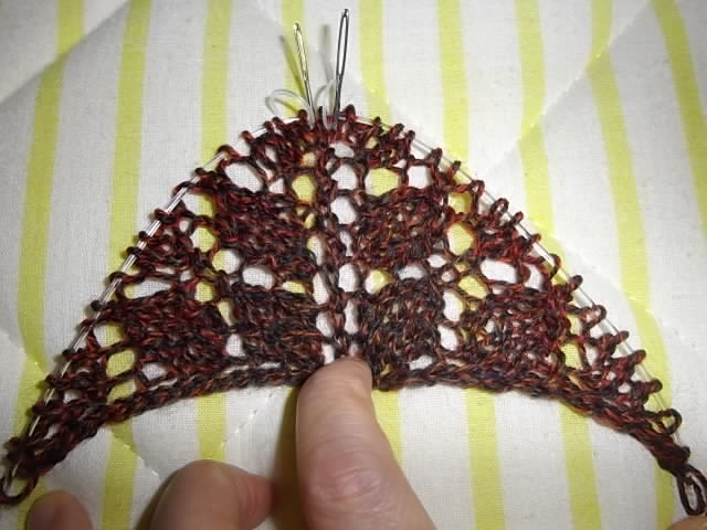 Swallowtail Lace Shawlを編む！その1 - これからの時間