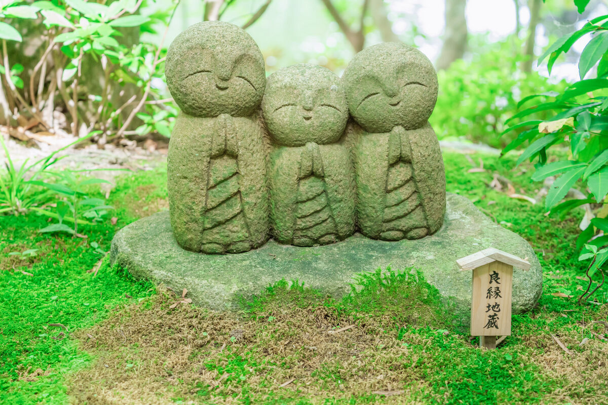 実写レビュー TAMRON 50-400mm F4.5-6.3 Di III VC VXD (Model A067)で鎌倉さんぽ - ULTIMOFOTO