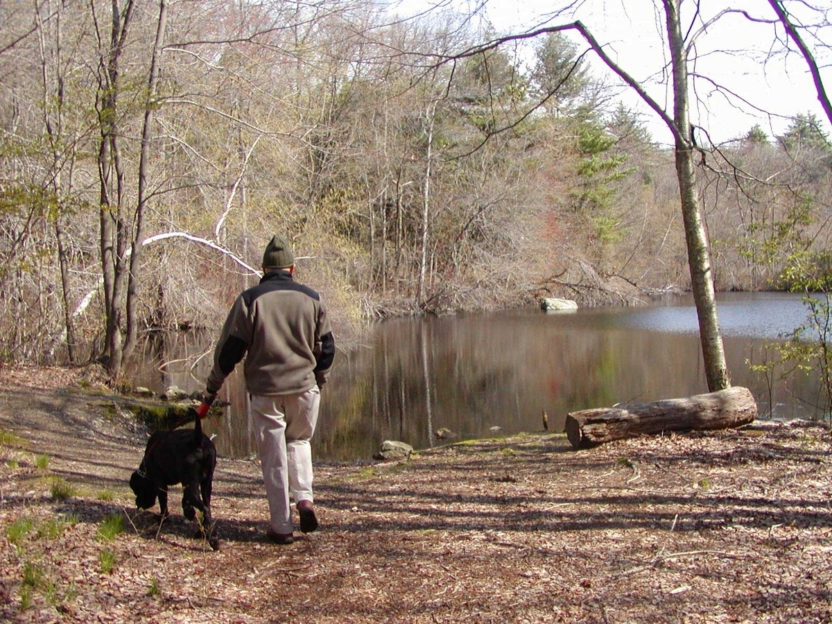 「Stanley J Korsmeyer 博士からの贈り物 後編」～「夫の直腸がん闘病生活と寄り添う妻(10歳のマリア）」第59回～ - 10 ...
