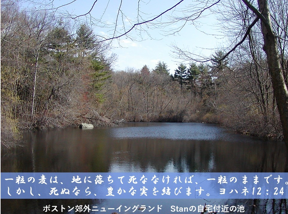 「Stanley J Korsmeyer 博士の肺がんと千羽鶴（No.3 Fellowたちの千羽鶴の祈り」～「夫の直腸がん闘病生活と寄り添う妻 ...