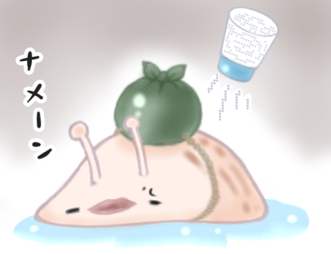 [B!] https://www.mamechu.com/entry/2022/06/02/%E3%83%97%E3%83%AC%E3%82 ...