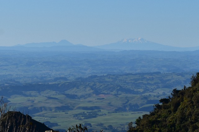 DAY#37 Pahautea hut to 780km (15) - 歩くまりこの日記