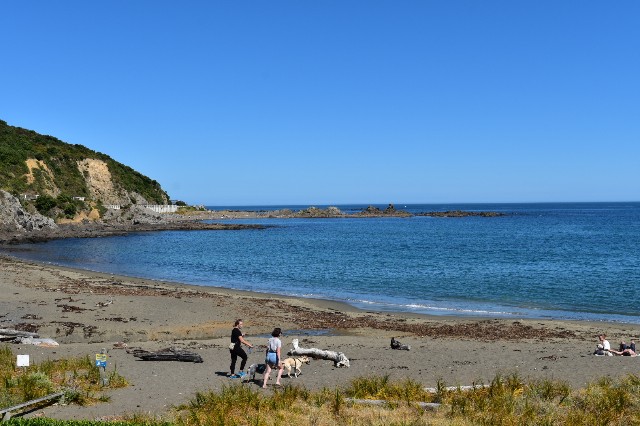 DAY#78 Ngaio to Island Bay (23) - 歩くまりこの日記