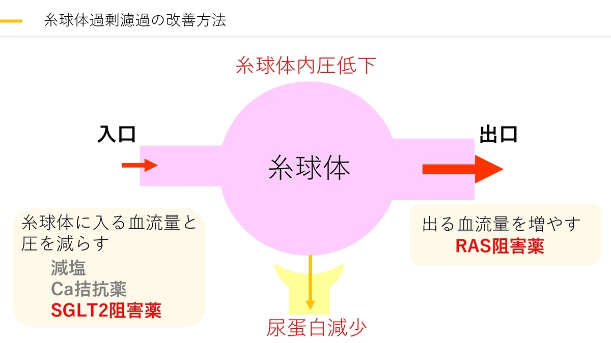 SGLT2阻害薬使用時のinitial dipはほっておいてもいいの？ - 京から始める腎臓ノート
