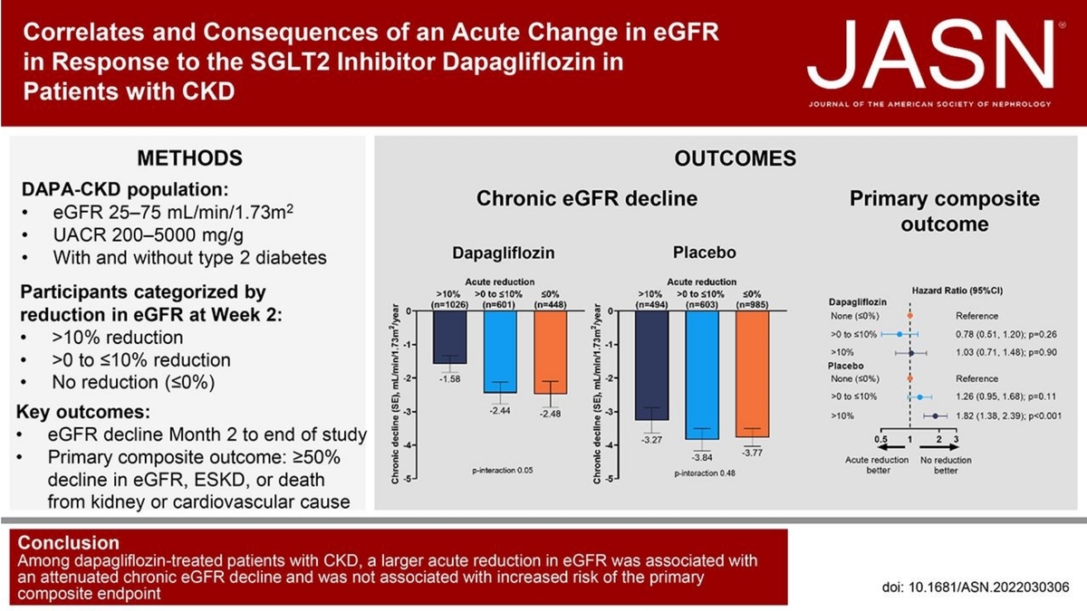 SGLT2阻害薬使用時のinitial dipはほっておいてもいいの？ - 京から始める腎臓ノート
