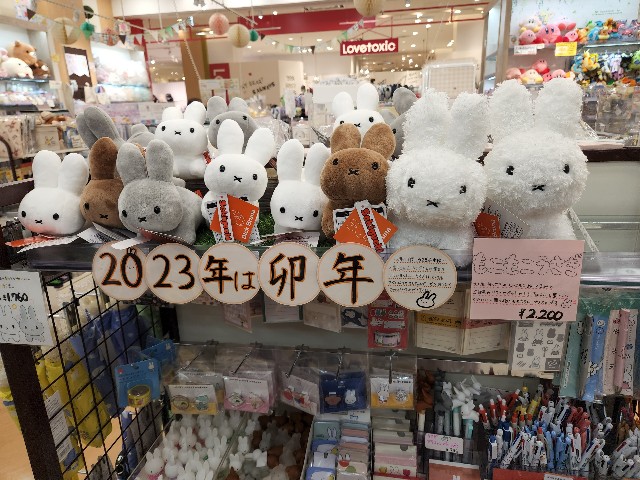 【日常】37w6d 外出がしんどくなってきた… - melonplanet