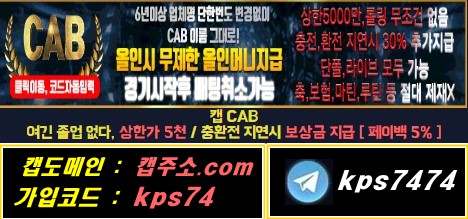 슈어사다리[에이피주소-ap주소.com코드-kps74]에이피사이트