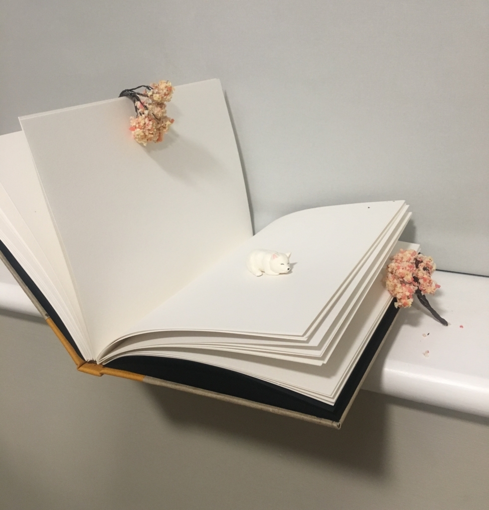 Bookbinding workshop – Multi-section Case Binding - LIN’s diary