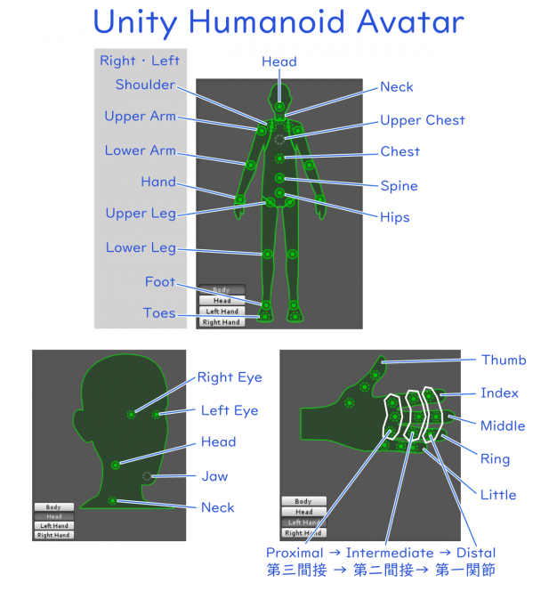 【Unity】Humanoid型で設定されたボーンを取得して回転させる GetBoneTransform - アプリ個人開発 まるブログ