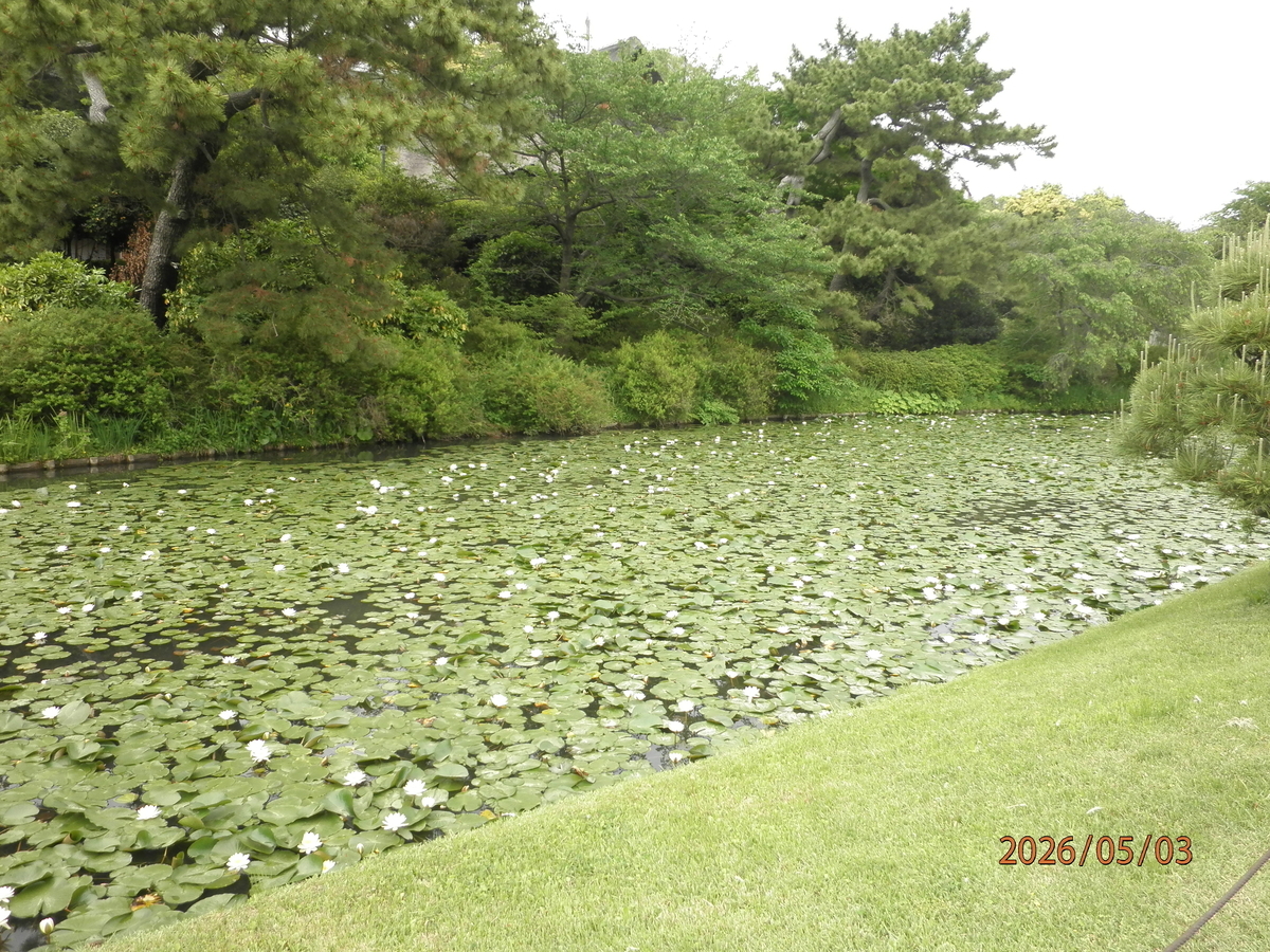 - masa20250724’s blog