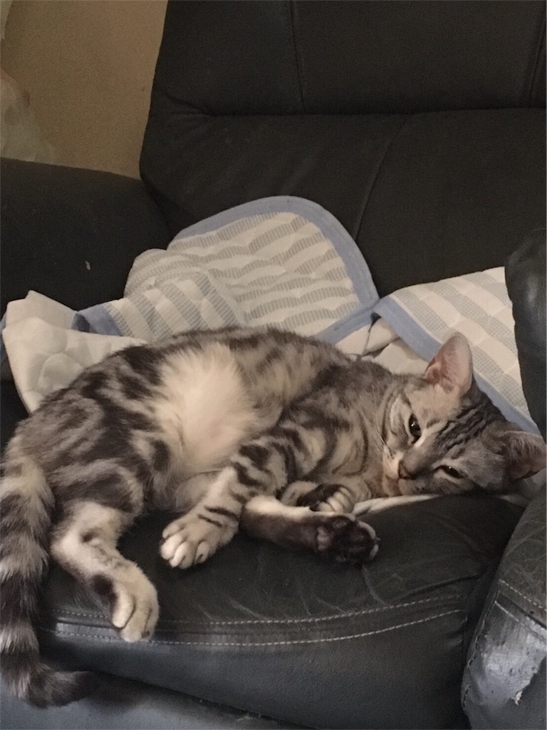 mysqlのメモリの計算式（エクセルあり） - masalibの日記