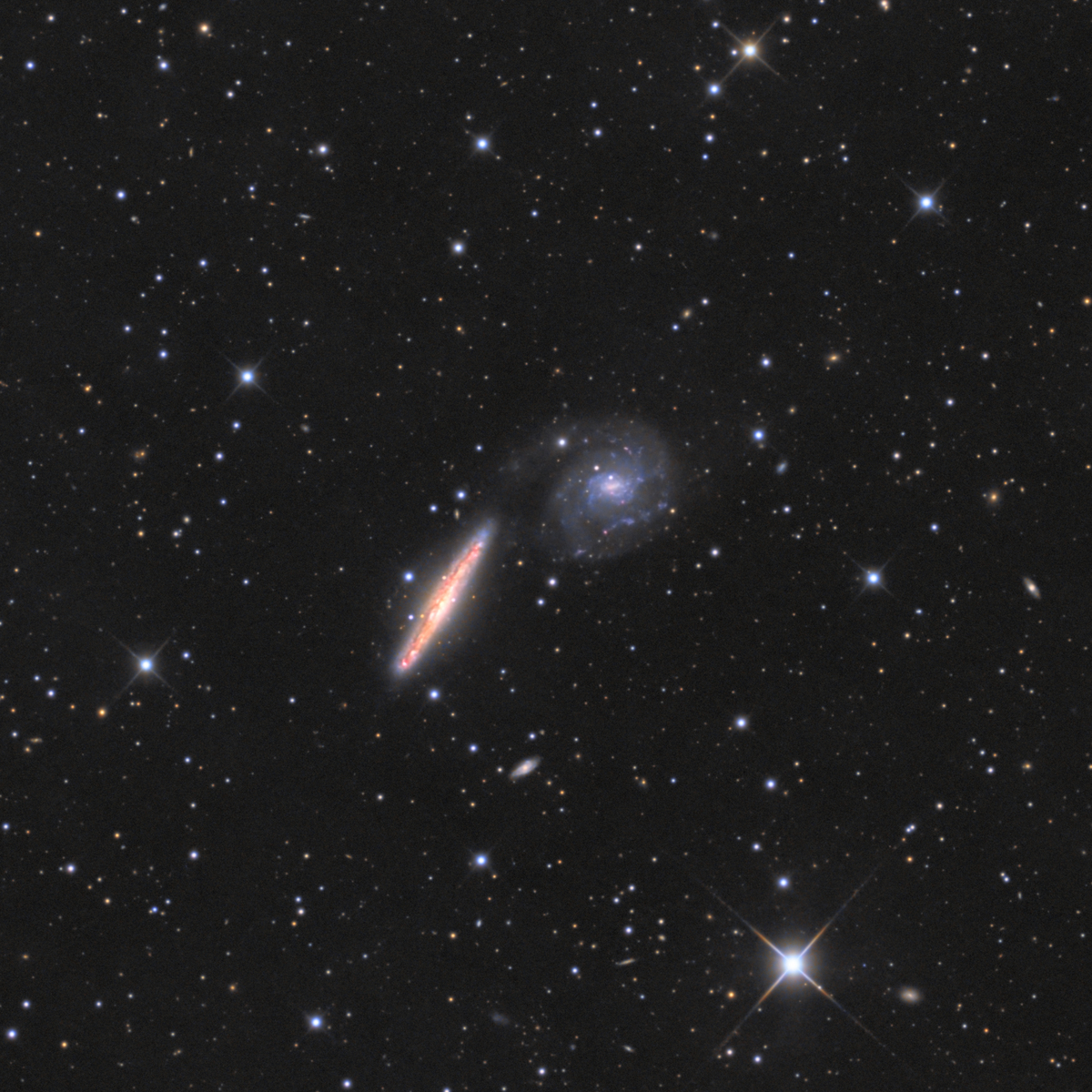 NGC5774, 5775 - もりのせいかつ 別館