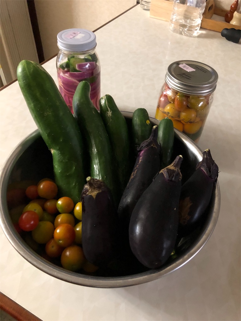 脅威！夏野菜 - meeget’s diary