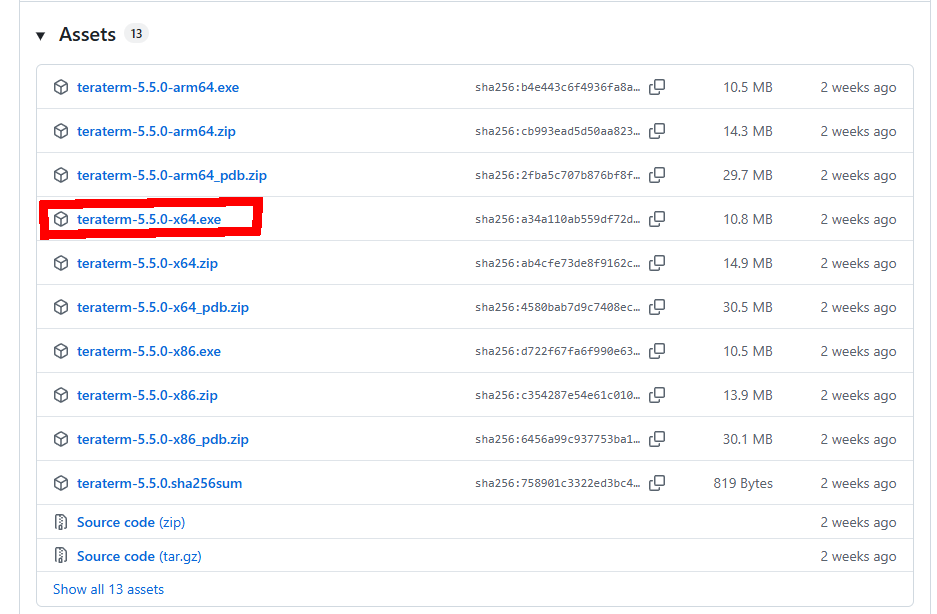 TeraTermとVcXsrvでリモート接続先のGUIアプリを起動する - ゲームとプログラミングと電子工作と......