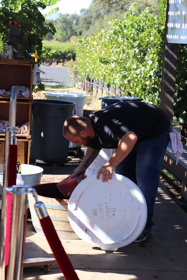 Grape Stomping @ Napa 2018/9 - Memorial Bench @ San Francisco Bay Area