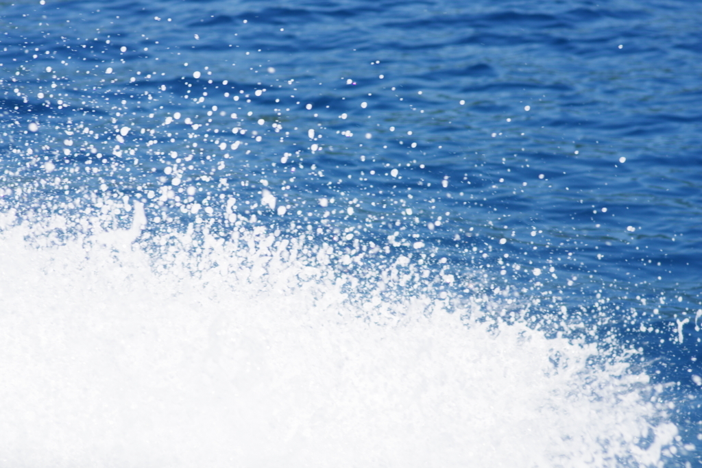 批判する姿勢と、黙々と行動する姿勢と。 - meta.kimura