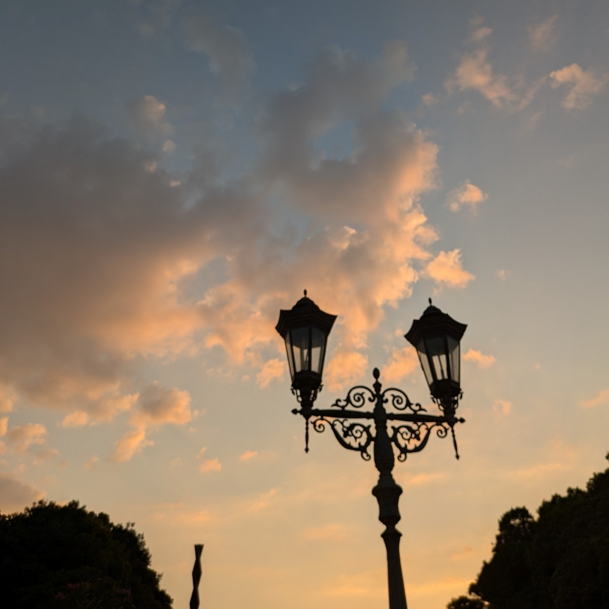 真夜中の真夏日 - meta.kimura