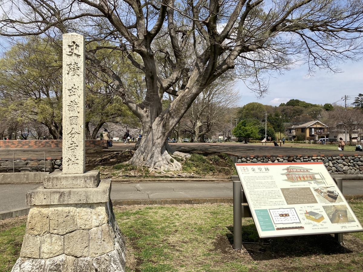 お花見 ＠武蔵国国分寺跡』 - metoo7s’s diary