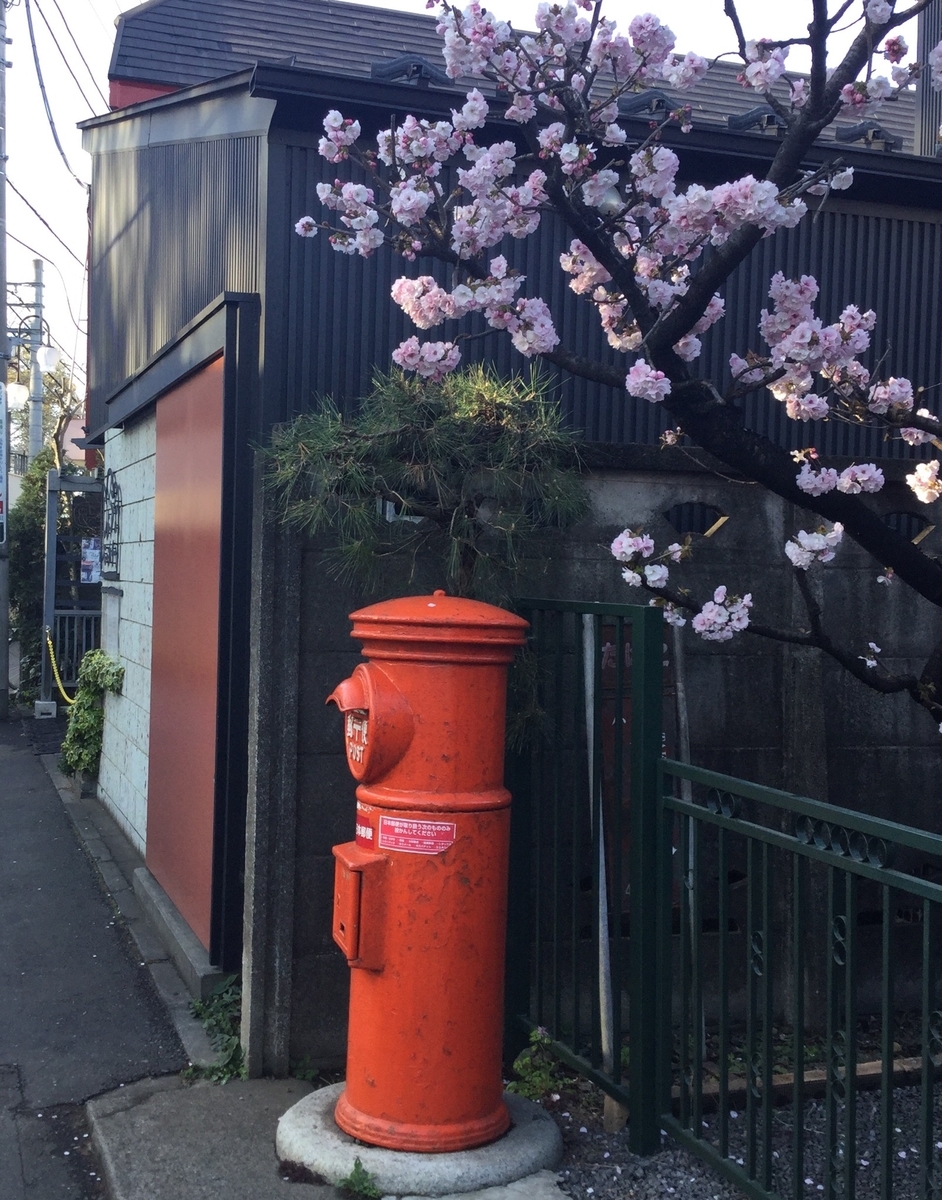 サービスは 一気にするのではなく・・” - うたと からだと わたし