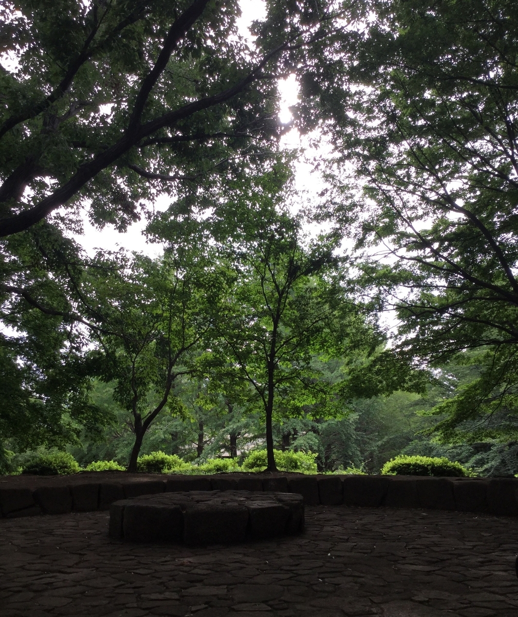 うれしい 曇りの日 - うたと からだと わたし