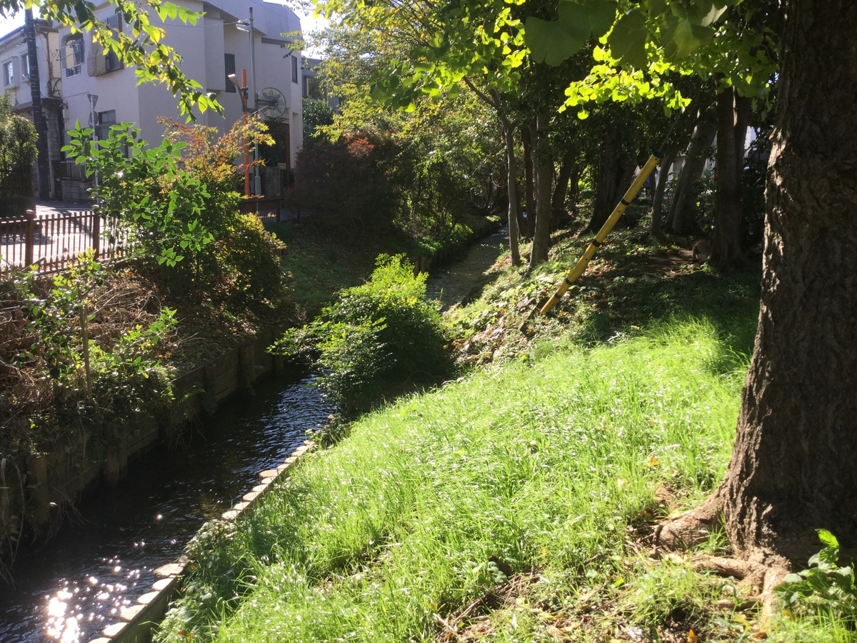 光あふれる 真心の 風景 … - うたと からだと わたし