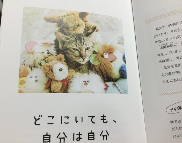 ありがとう… “ 発表会 “ ♫ - うたと からだと わたし