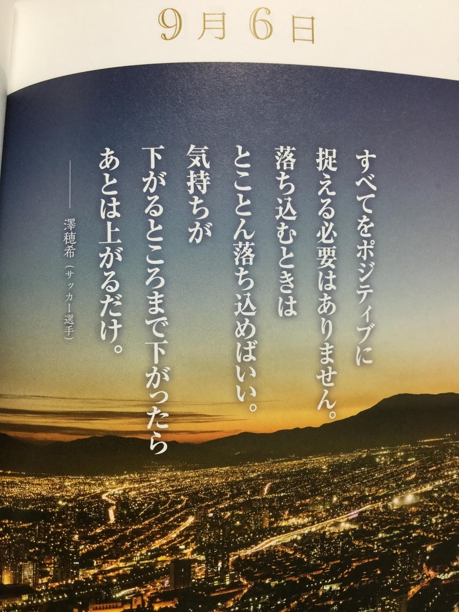 昨日みた景色 ・年老いたネコ。。 - うたと からだと わたし