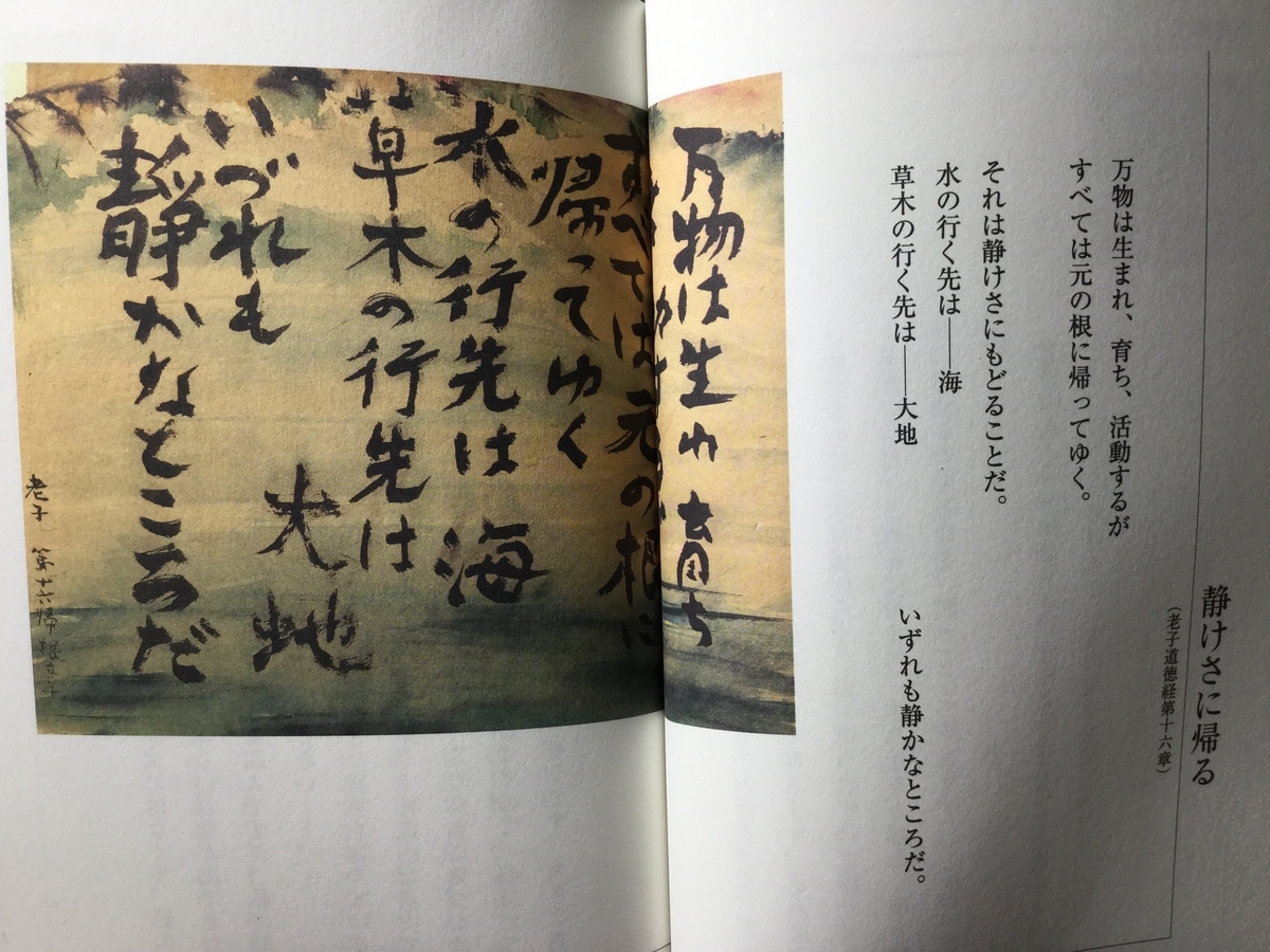 秋曇り” の日に お散歩。。^^ - うたと からだと わたし